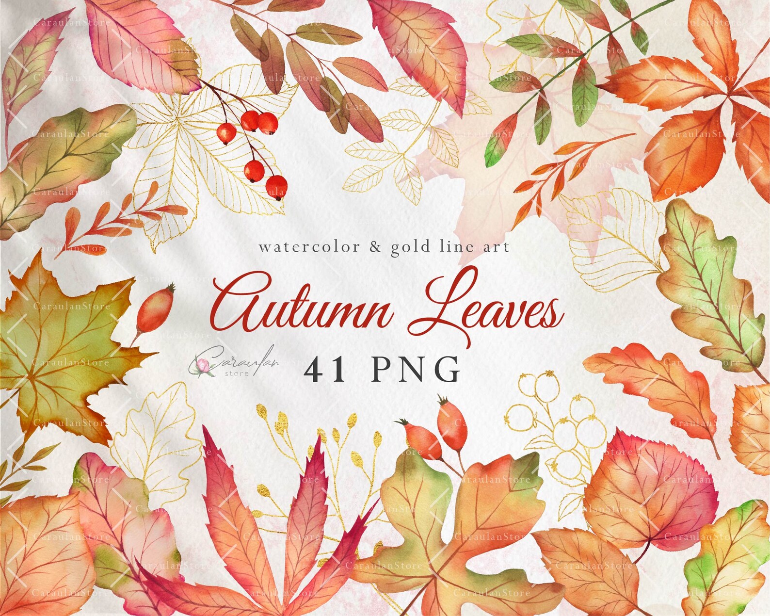 Autumn Leaves Watercolor Clipart, Fall Leaf Clip Art Watercolor ...