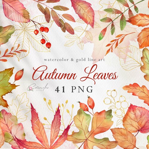 Watercolor Autumn Leaves Clipart Hand Painted Fall Leaf - Etsy