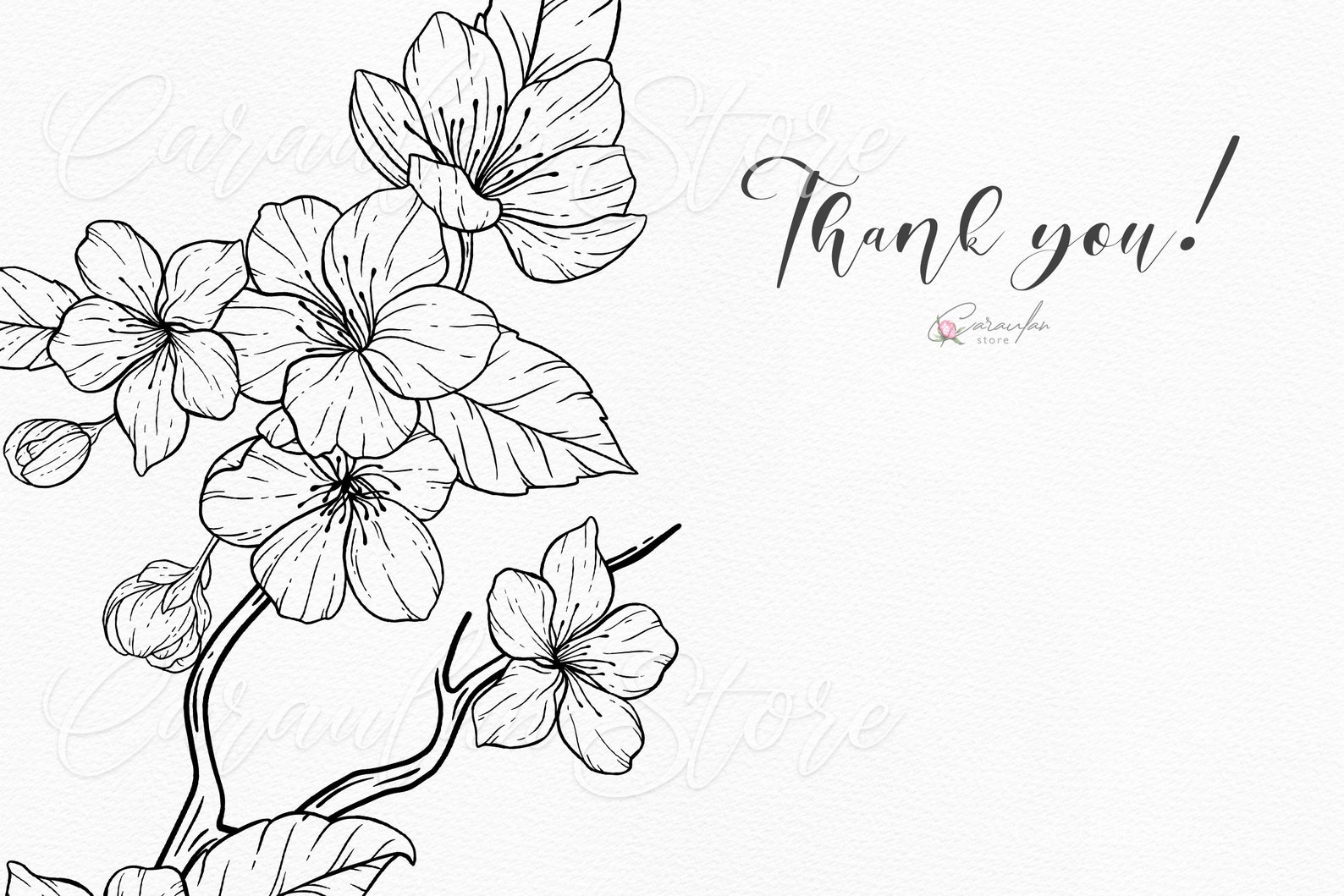 Sakura Line Art Bundle: Floral SVG Clipart, Wedding Flowers (PNG, SVG ...