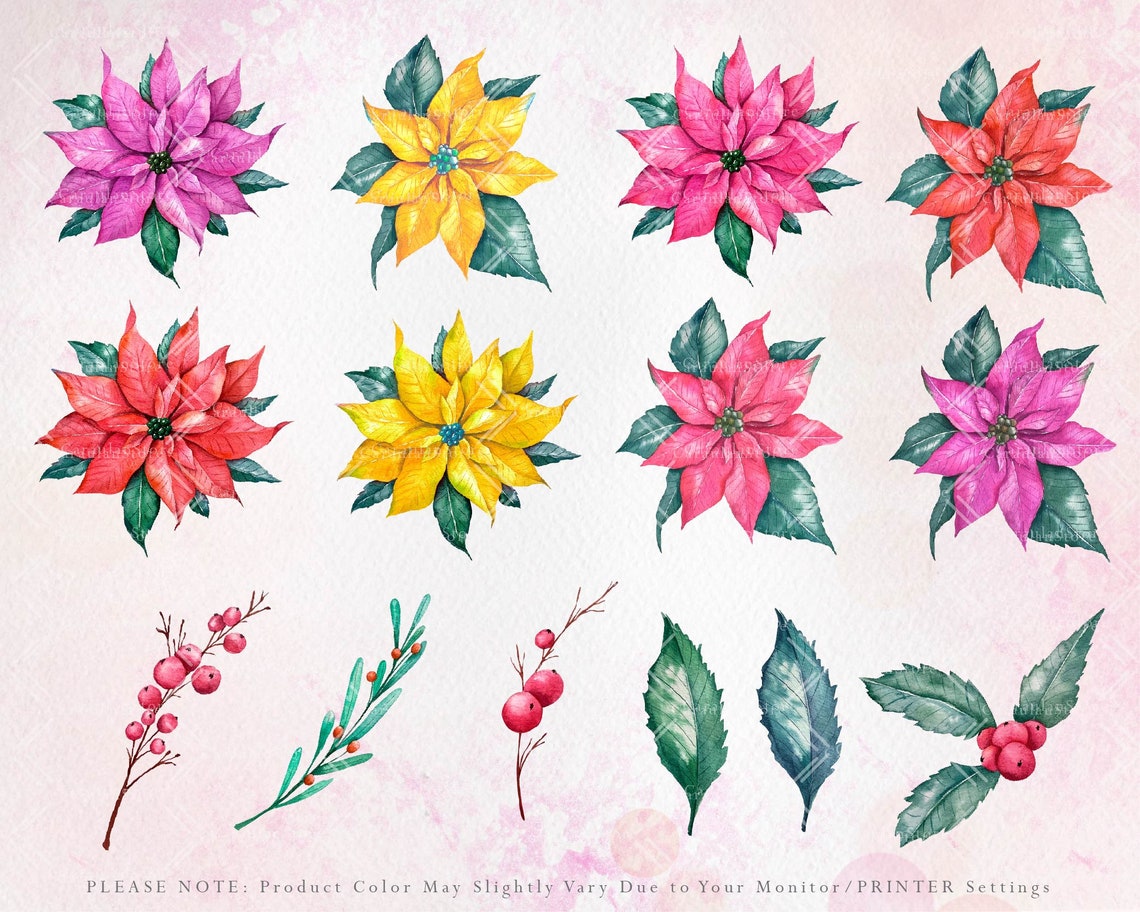 Watercolor Christmas Clipart, Poinsettia Watercolor, Christmas Floral ...