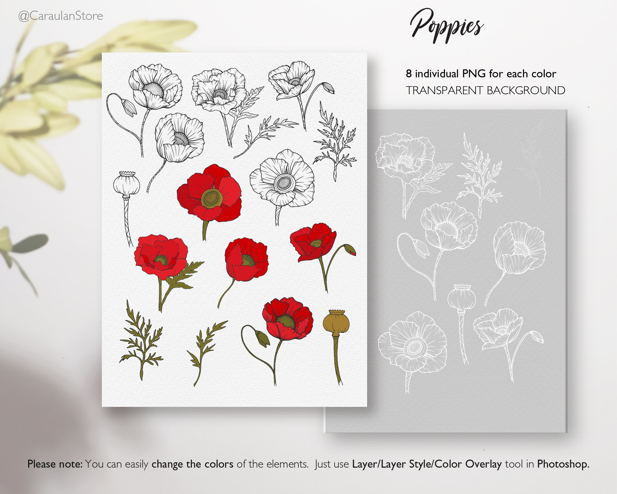 Poppy PNG, Poppy Line Art Poppy Outline, Poppy Line Art, Wedding ...