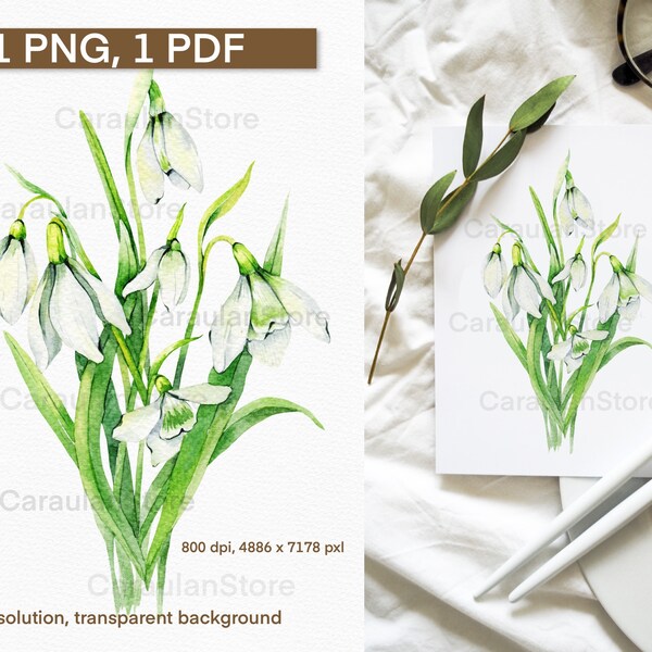 January Watercolor Clipart - Etsy