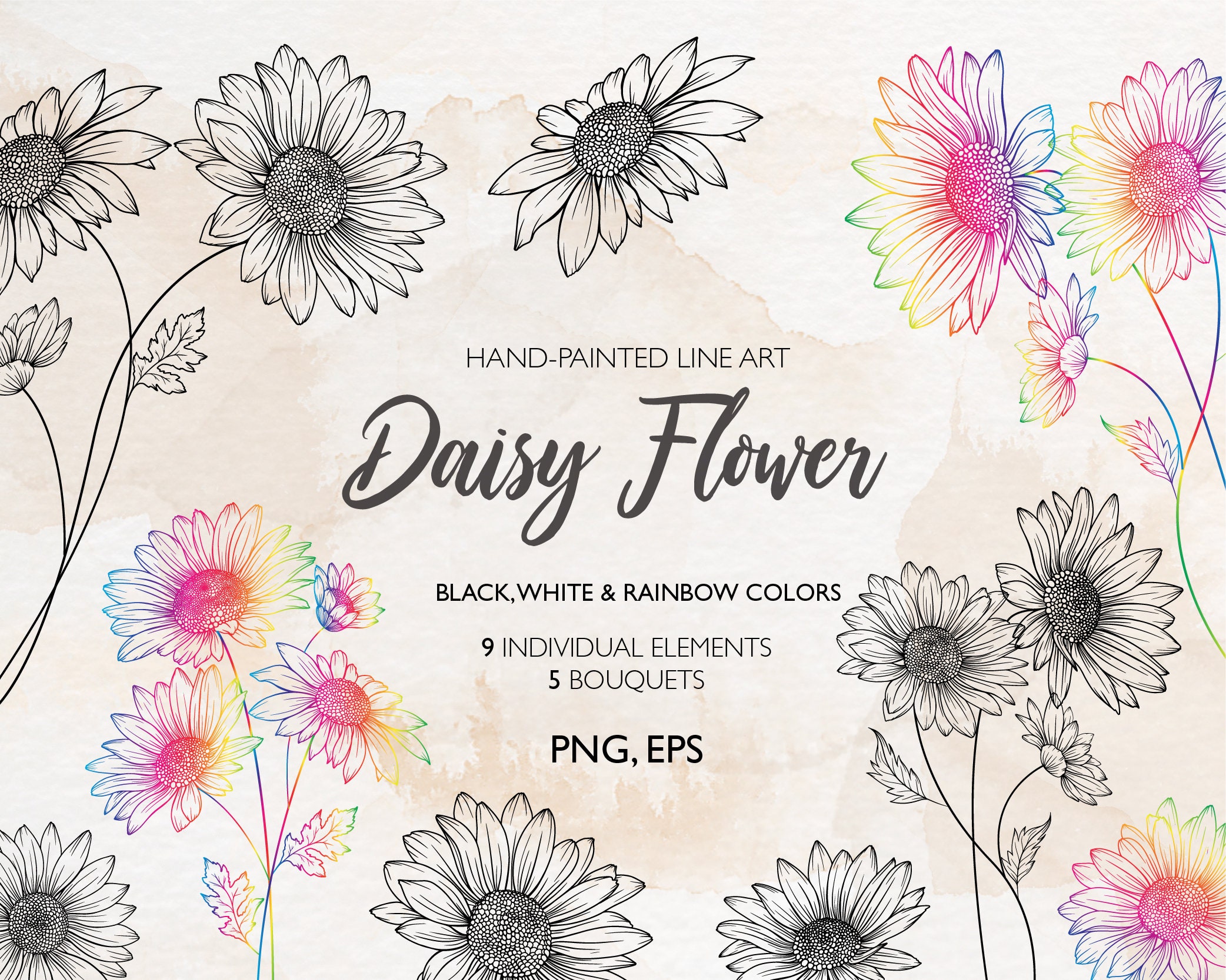 Black And White Daisy Outline