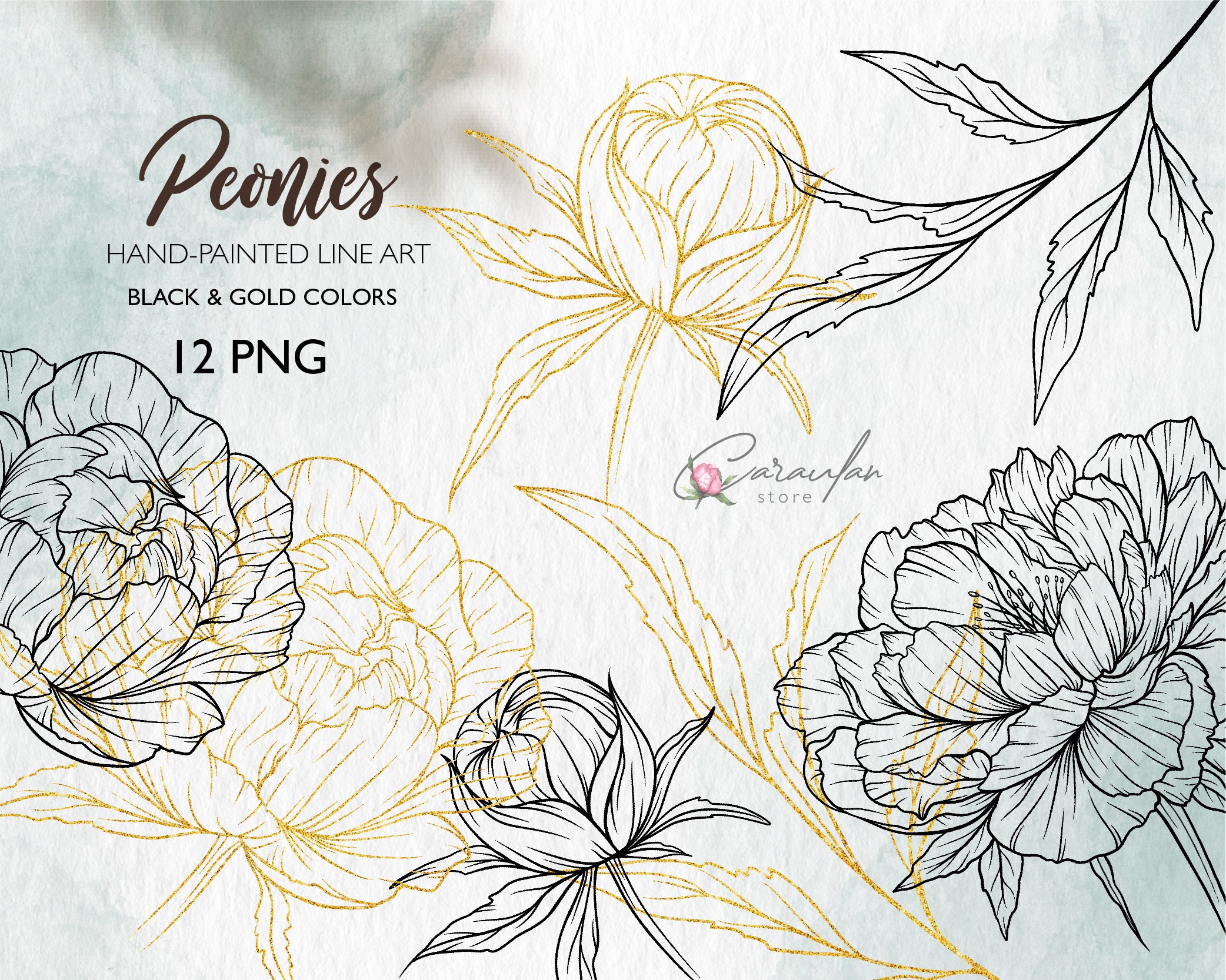Peony Outline, Line Art Flowers, Gold Peony Line Art, Wedding Clipart ...