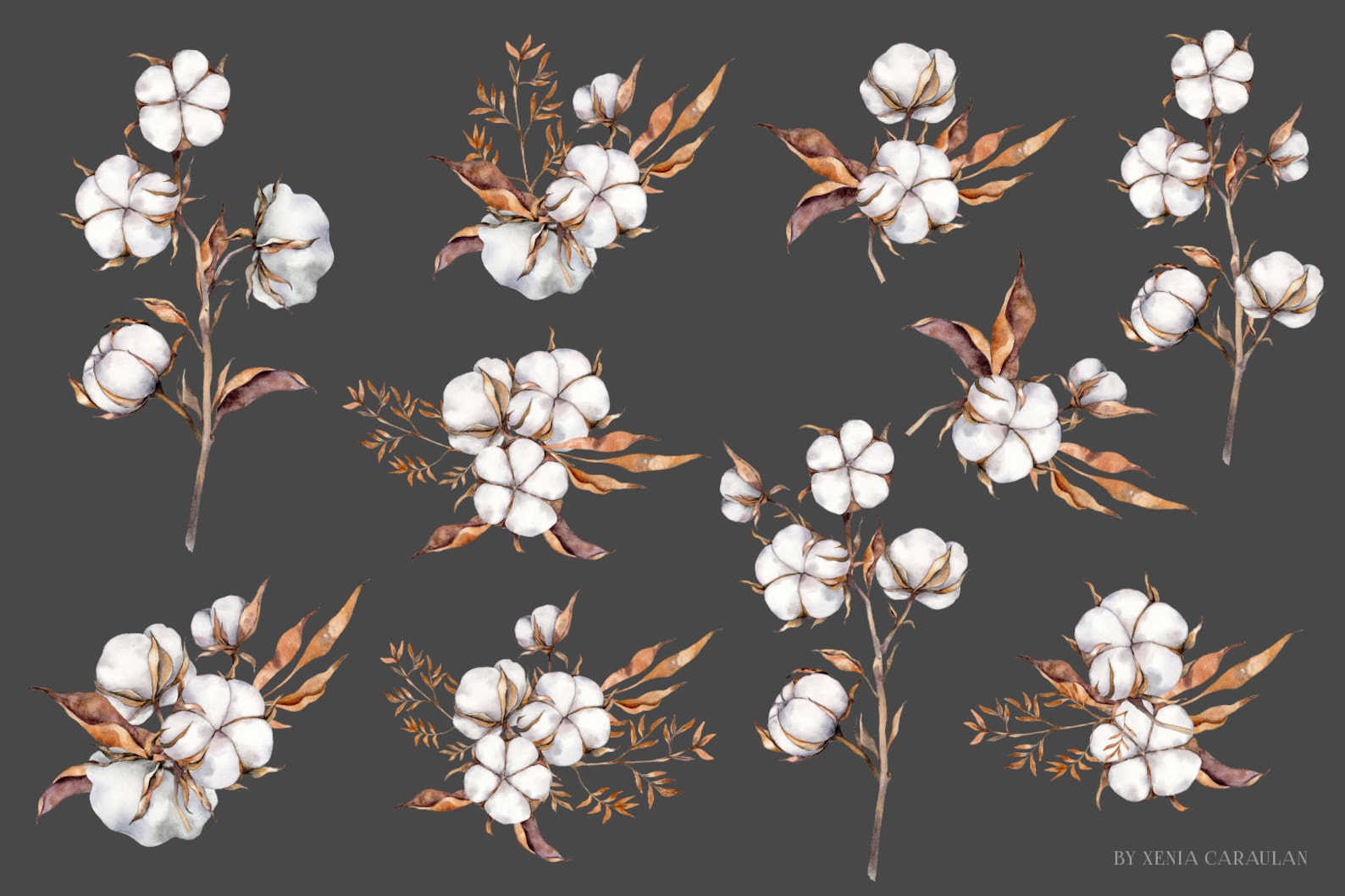 Cotton Clipart Cotton Watercolor Clipart Cotton Branches - Etsy