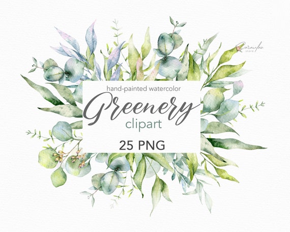 Watercolor Greenery Eucalyptus Clipart Green Leaves Greenery - Etsy