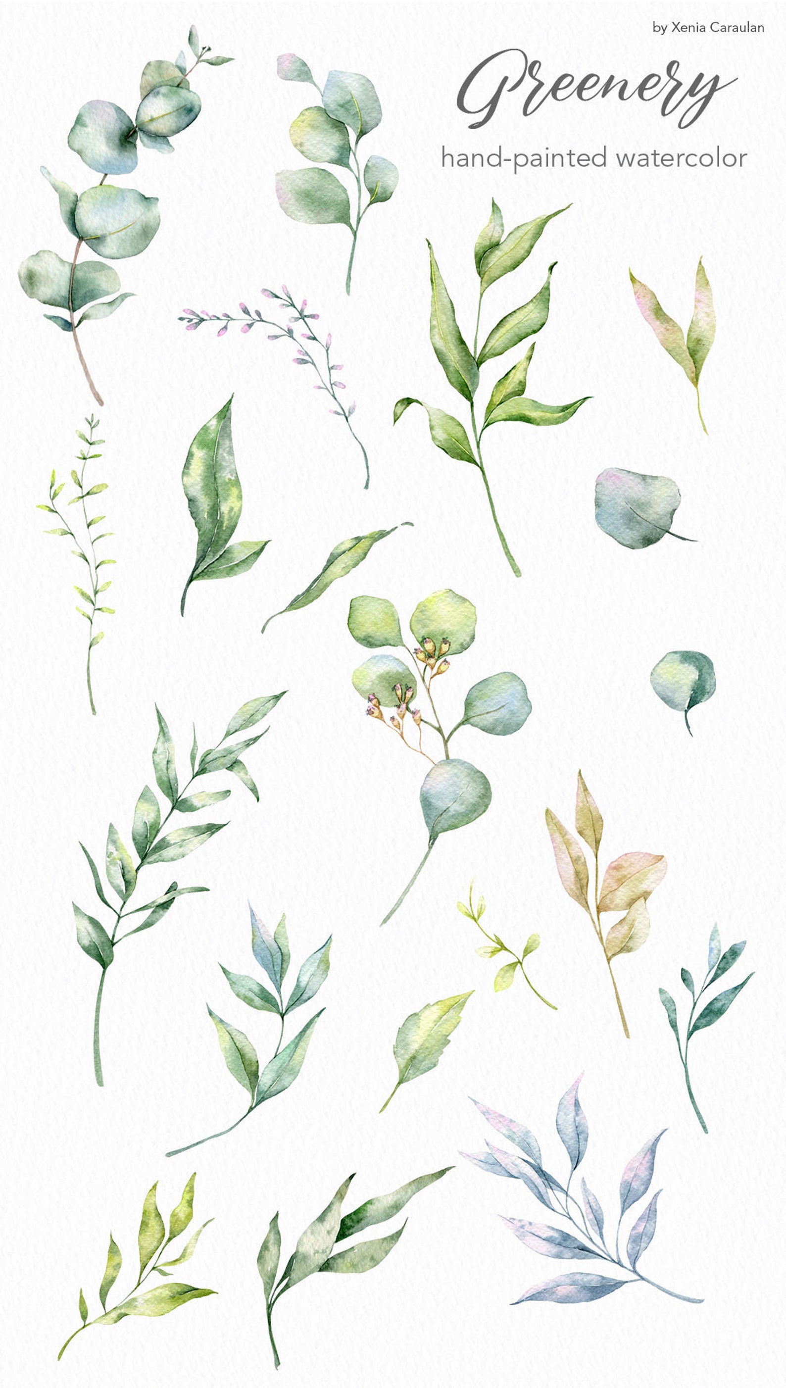 Watercolor Greenery Eucalyptus Clipart, Green Leaves, Greenery Frames ...