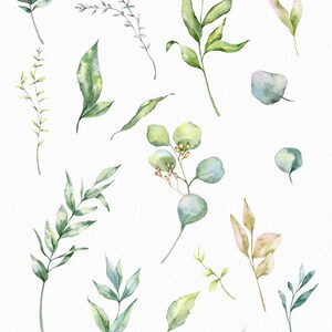 Watercolor Greenery Eucalyptus Clipart, Green Leaves, Greenery Frames ...