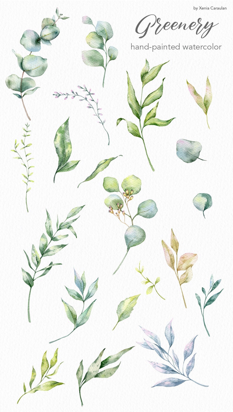 Watercolor Greenery Eucalyptus Clipart, Green Leaves, Greenery Frames ...