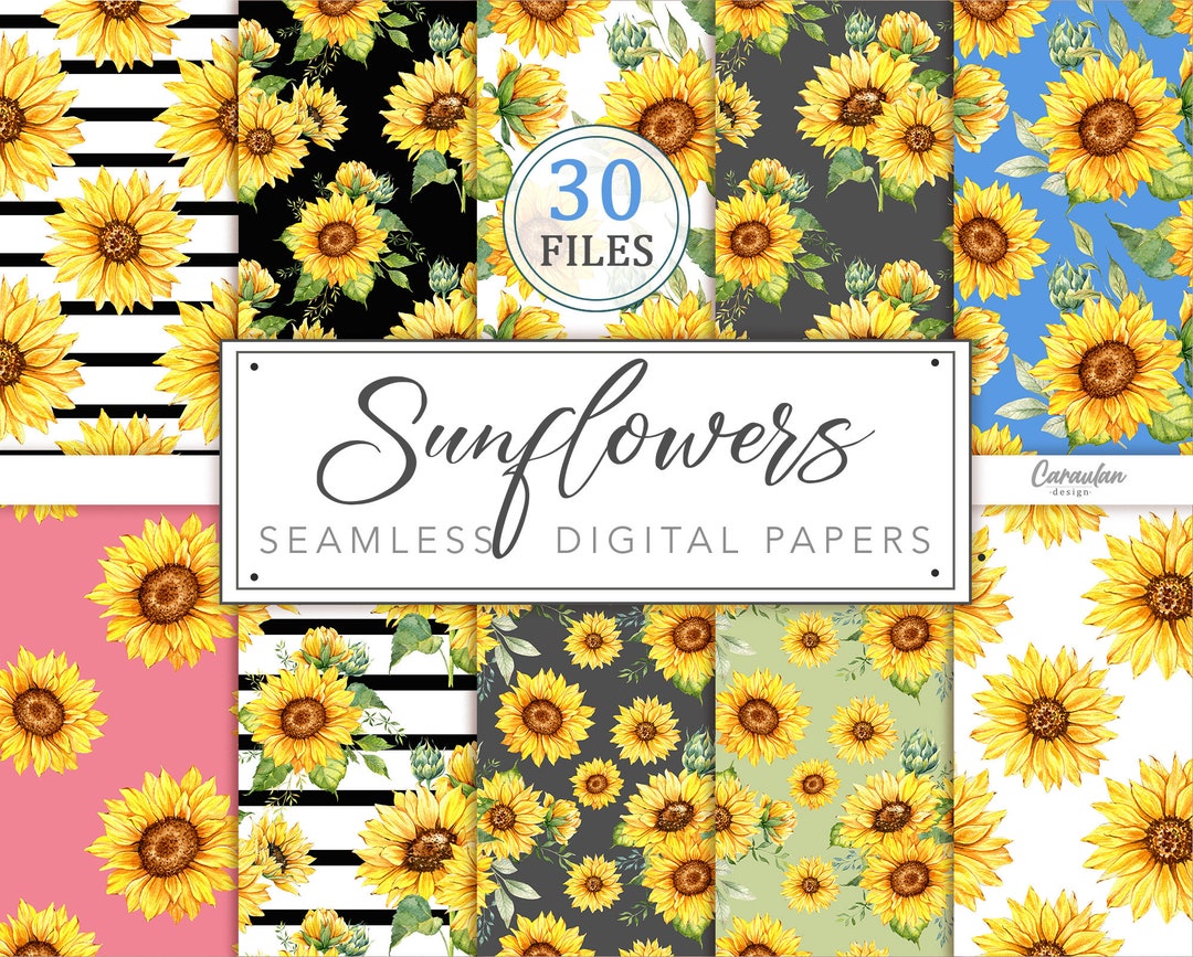 Sunflower Paper, Sunflowers Seamless Pattern, Sunflower Sublimation ...