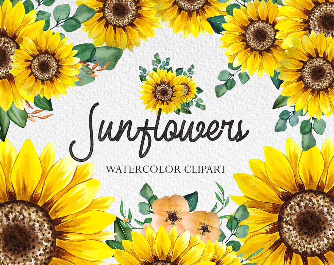 Watercolor Sunflowers Clipart, Sunflowers Frames PNG, Sunflower ...