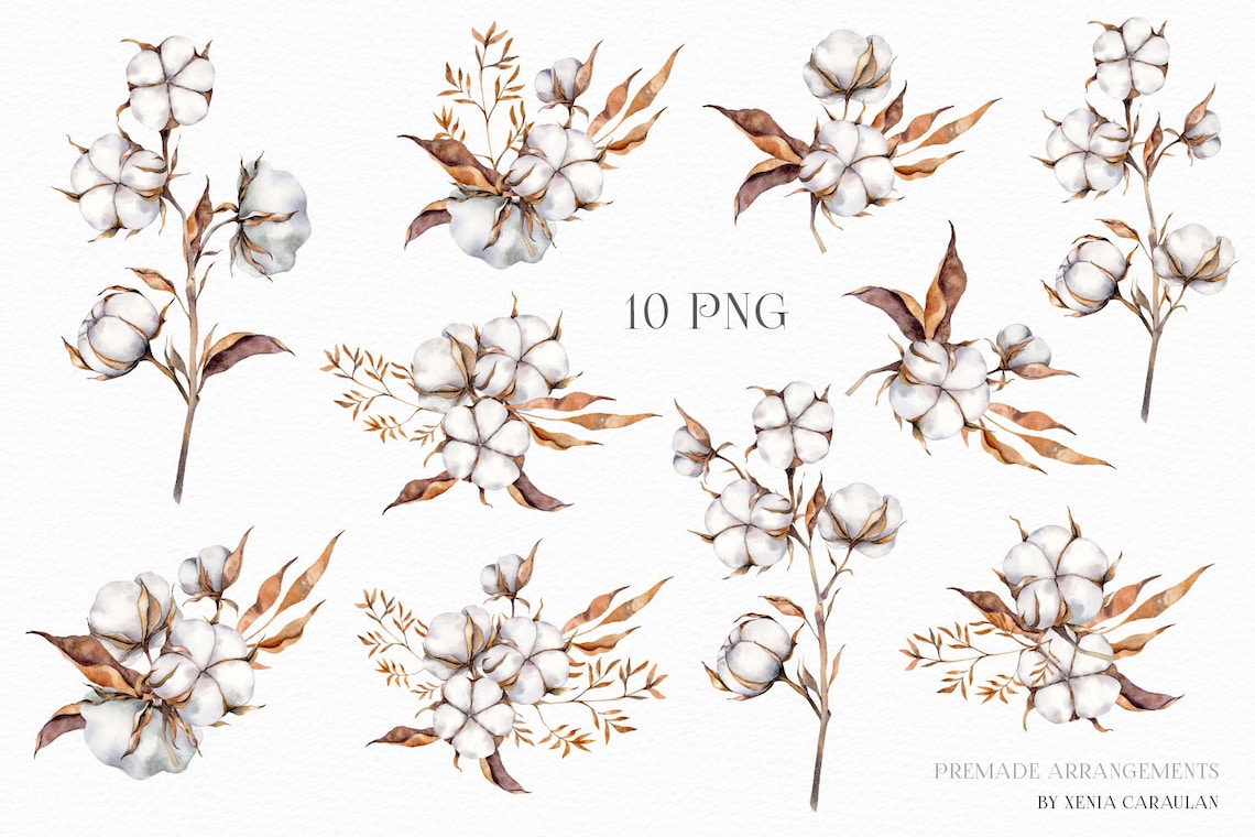 Cotton Clipart Cotton Watercolor Clipart Cotton Branches | Etsy