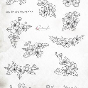 Floral Line Illustratios, Botanical SVG Clipart, Sakura Line Art ...