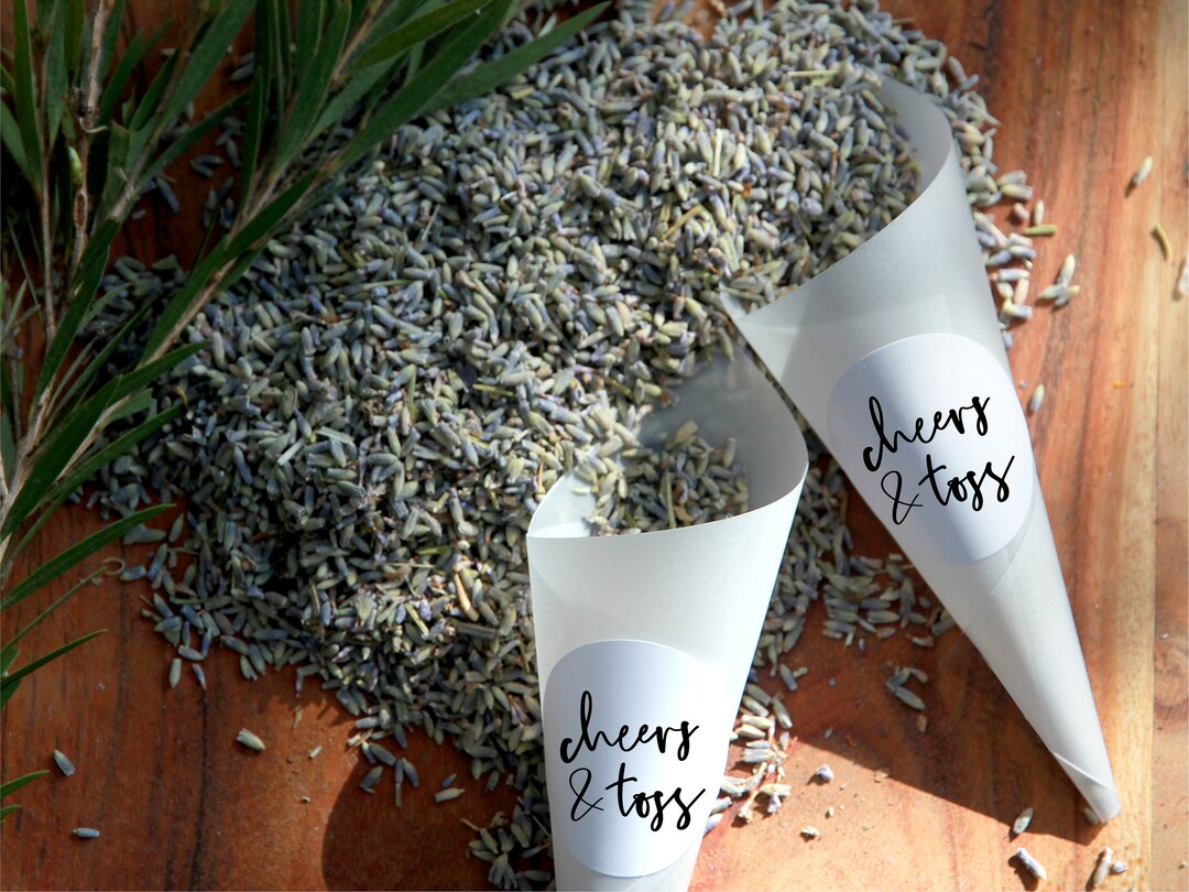 Lavender Confetti DIY Confetti Cone and Sticker Set, Comes With ...