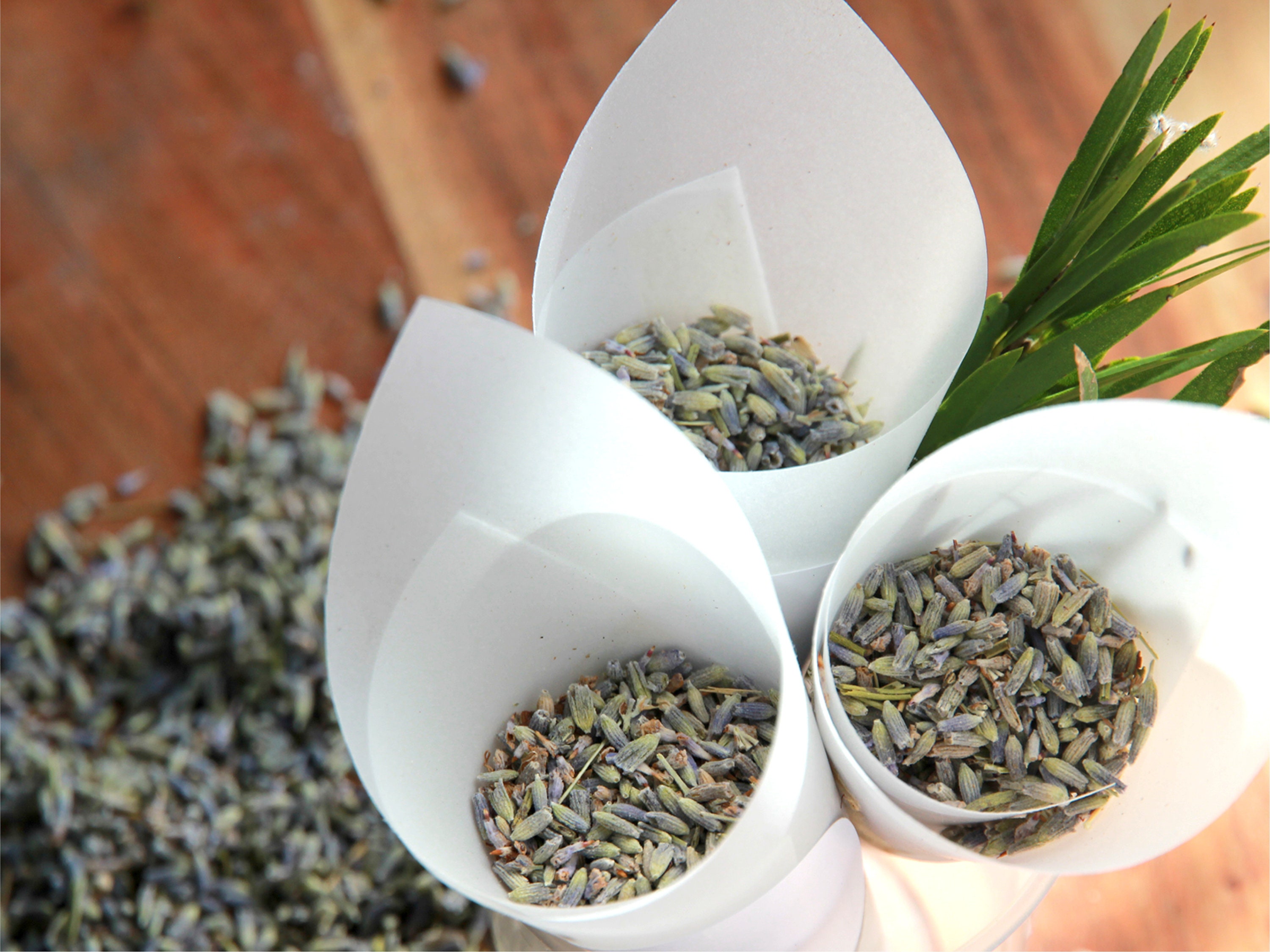 Lavender Confetti DIY Confetti Cone and Sticker Set Comes - Etsy Australia