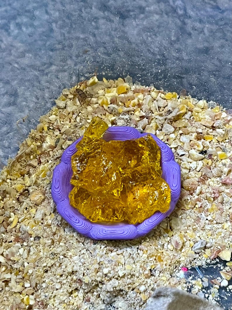 3D Printed Insect Feeder Bowl: Cricket/jumping Spider Water Gel ...