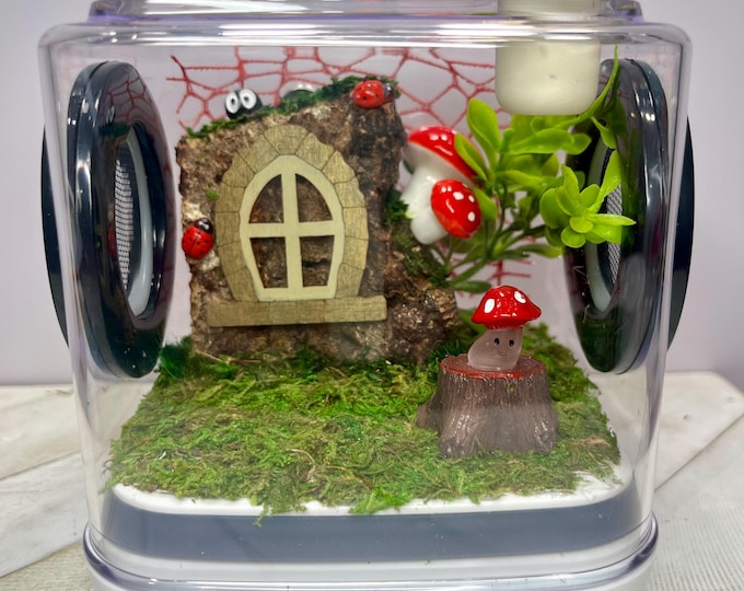 Mushroom Jumping Spider Enclosure - Spider Enclosure, Jumping Spider ...