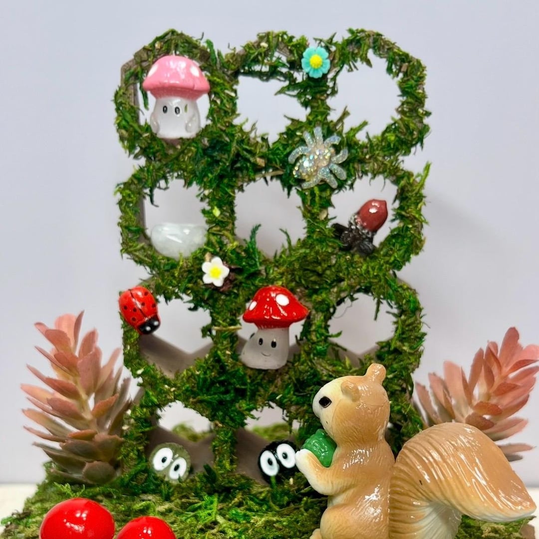 Moss Critter Hex Shelf: 3D Printed Jumping Spider Enclosure Decor - Etsy
