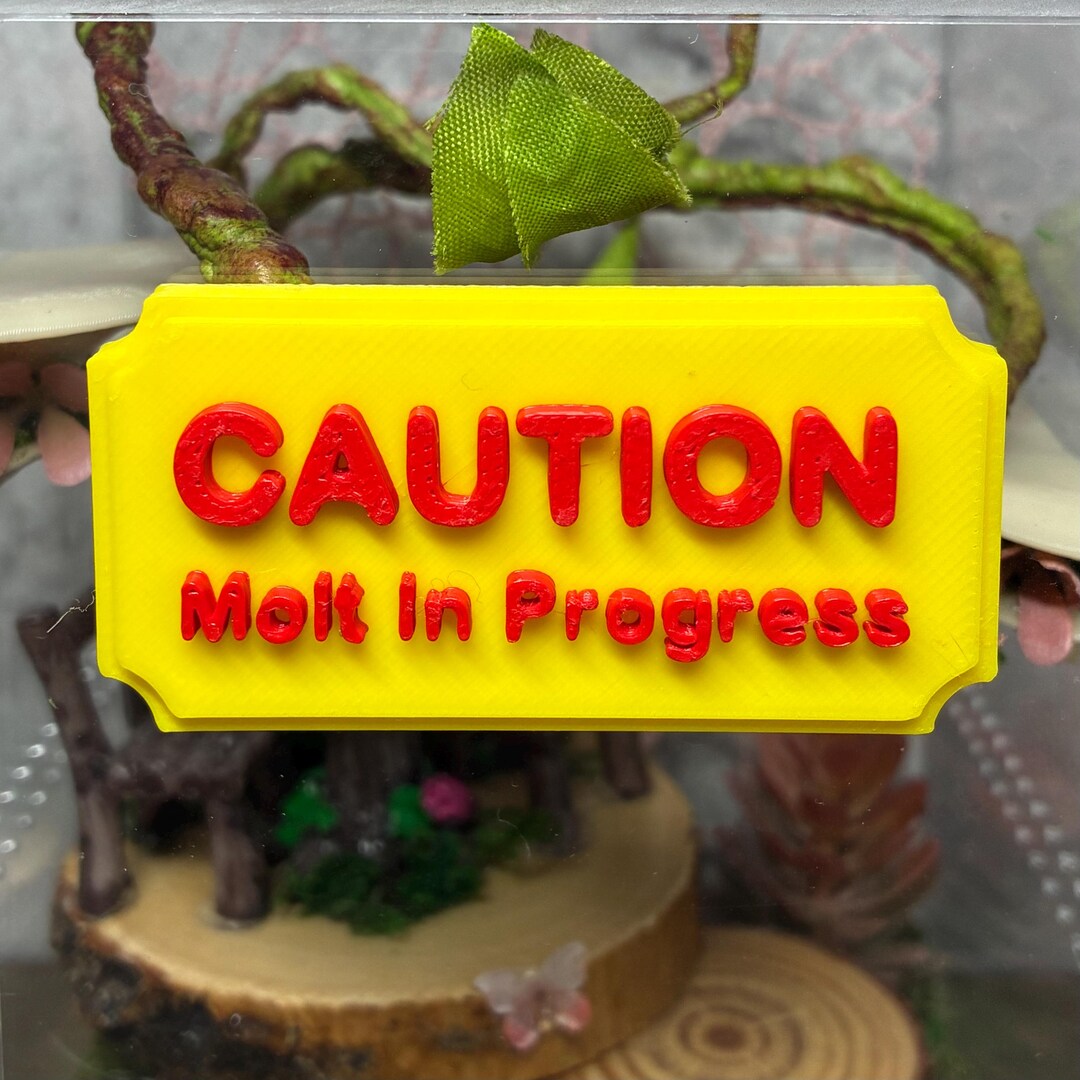 Caution Molt in Progress Magnetic Nameplate Sign for Jumping Spiders - Jumping Spider Enclosure ...
