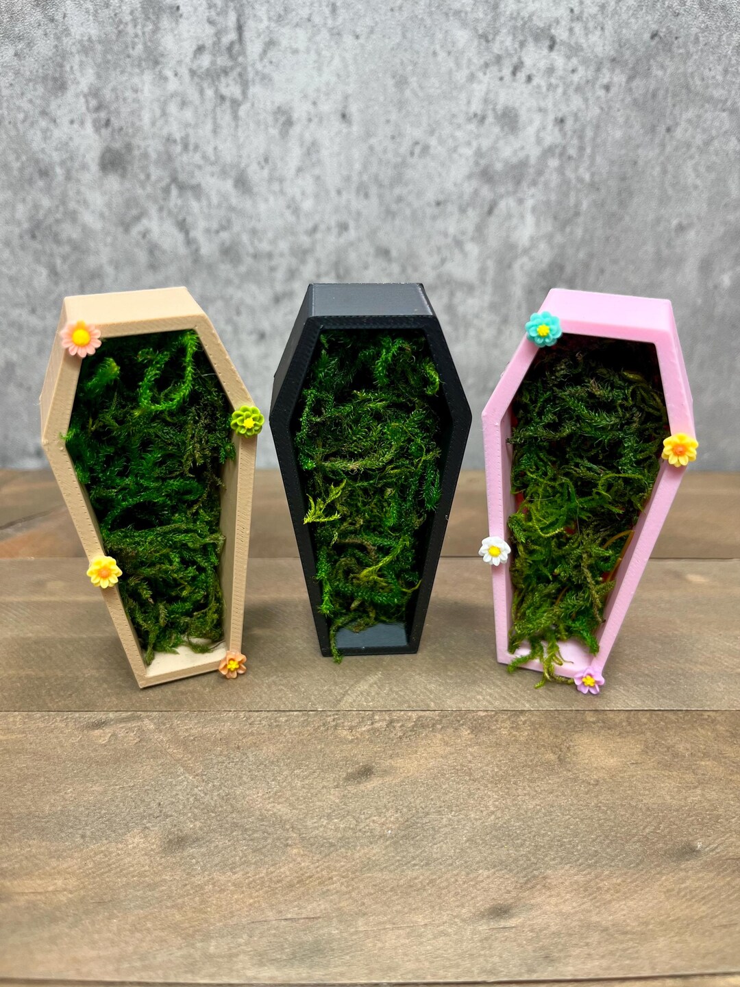 Jumping Spider Coffin Hide - Jumping Spider Coffin Hide, Magnetic ...