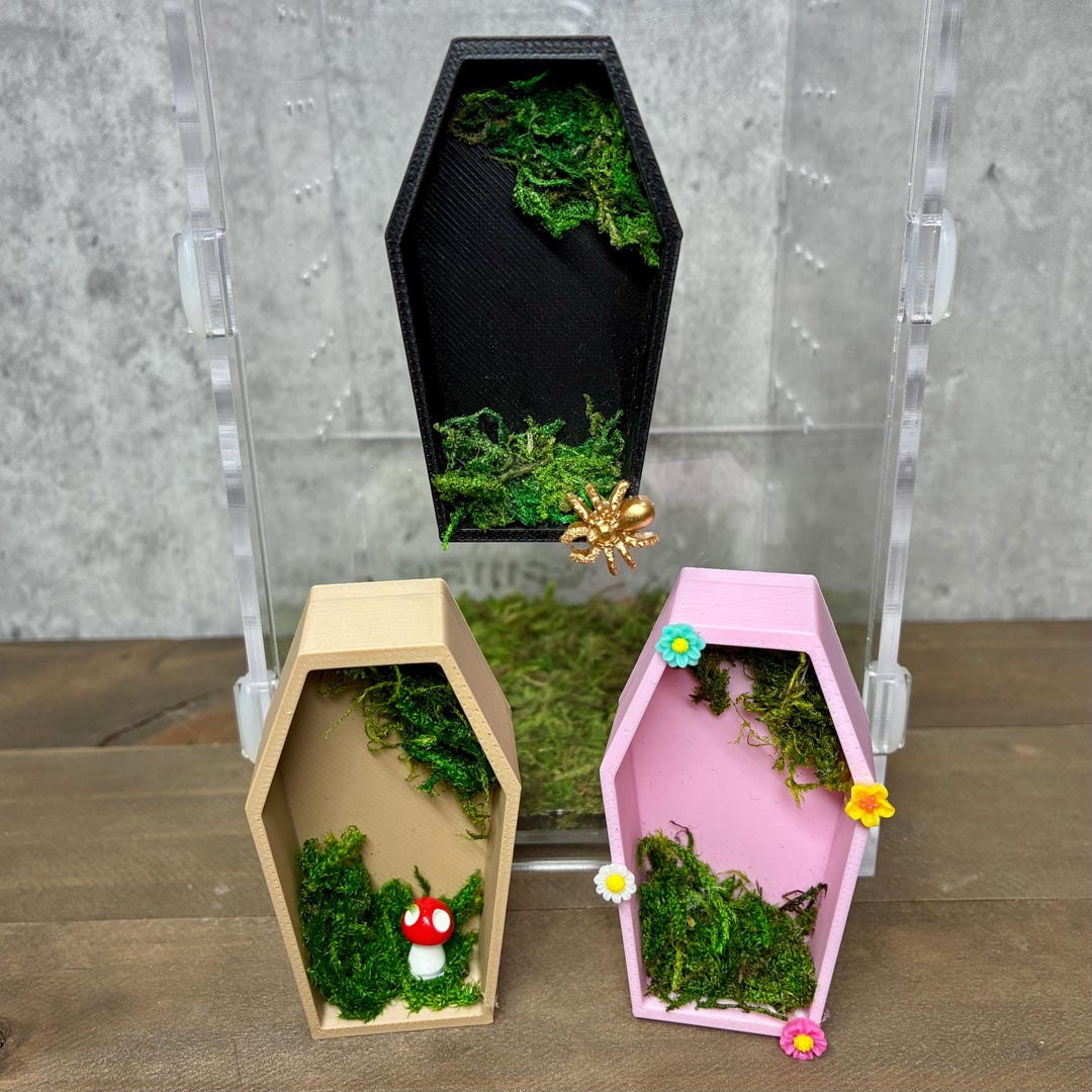Coffin Moss Hide: Magnetic Jumping Spider Hideout - Etsy