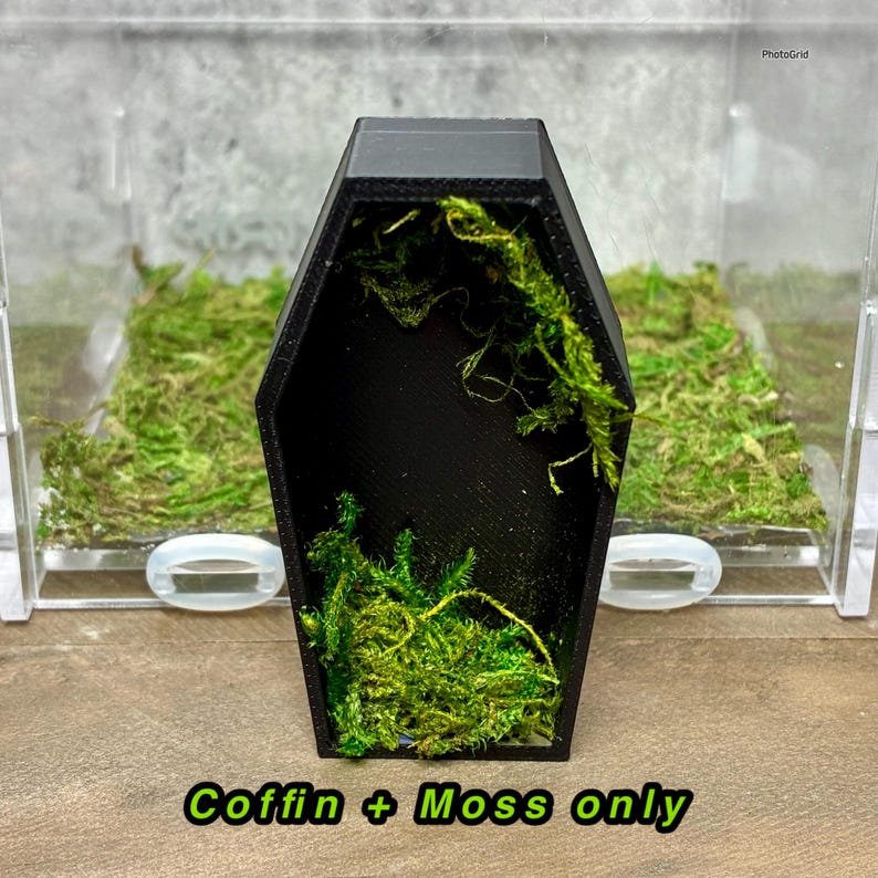 Coffin Moss Hide: Magnetic Jumping Spider Hideout - Etsy