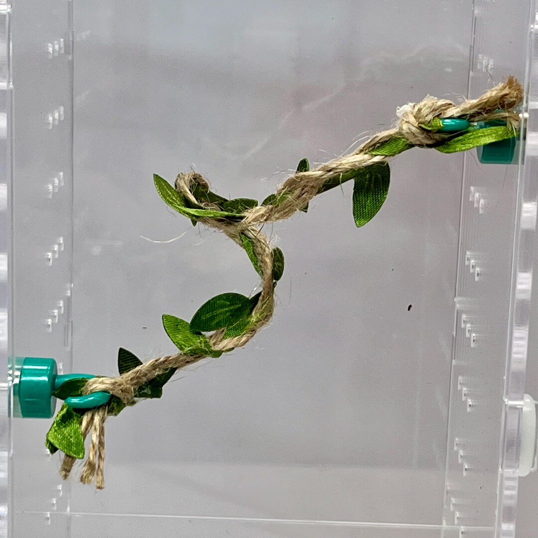 Rope Vine/bridge for Jumping Spider Enclosure Magnetic Climbing Rope ...
