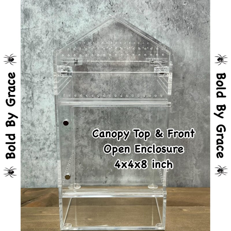 Jumping Spider House Kit - Etsy