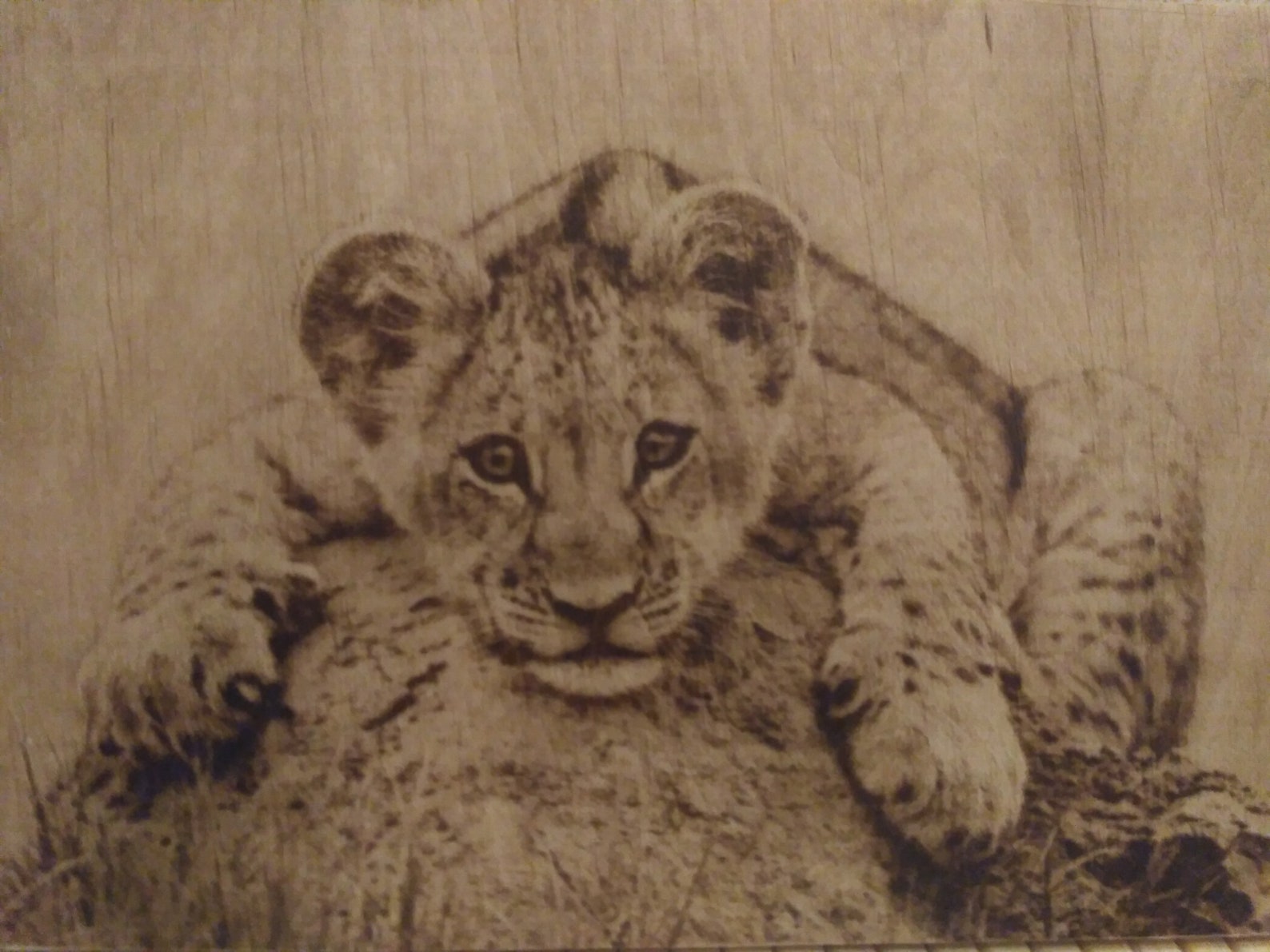 Beautiful painting lion pyrography pyrography wood custom wood | Etsy