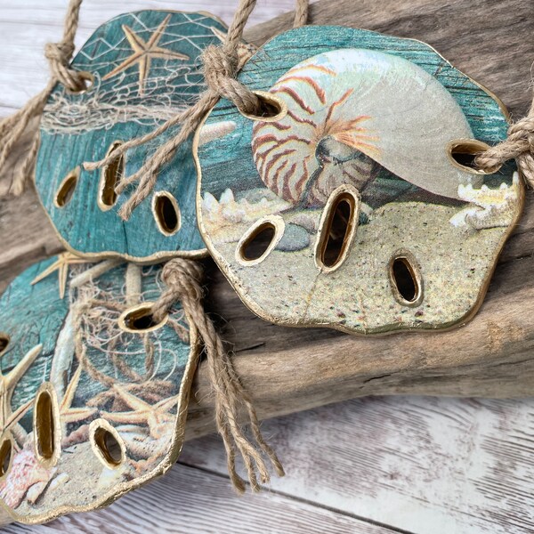 Sand Dollar - Etsy