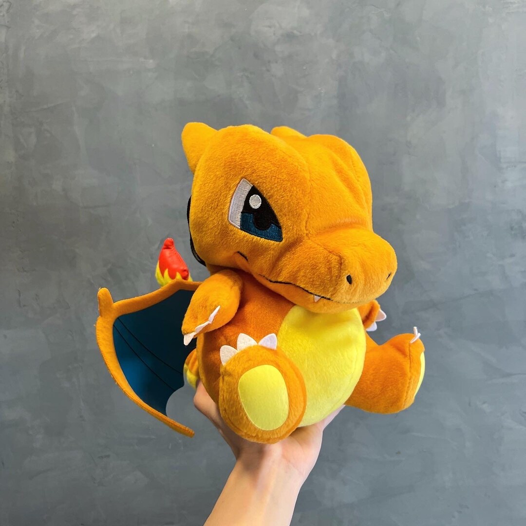 Limited Edition : Charizard Chalk Bag - Etsy