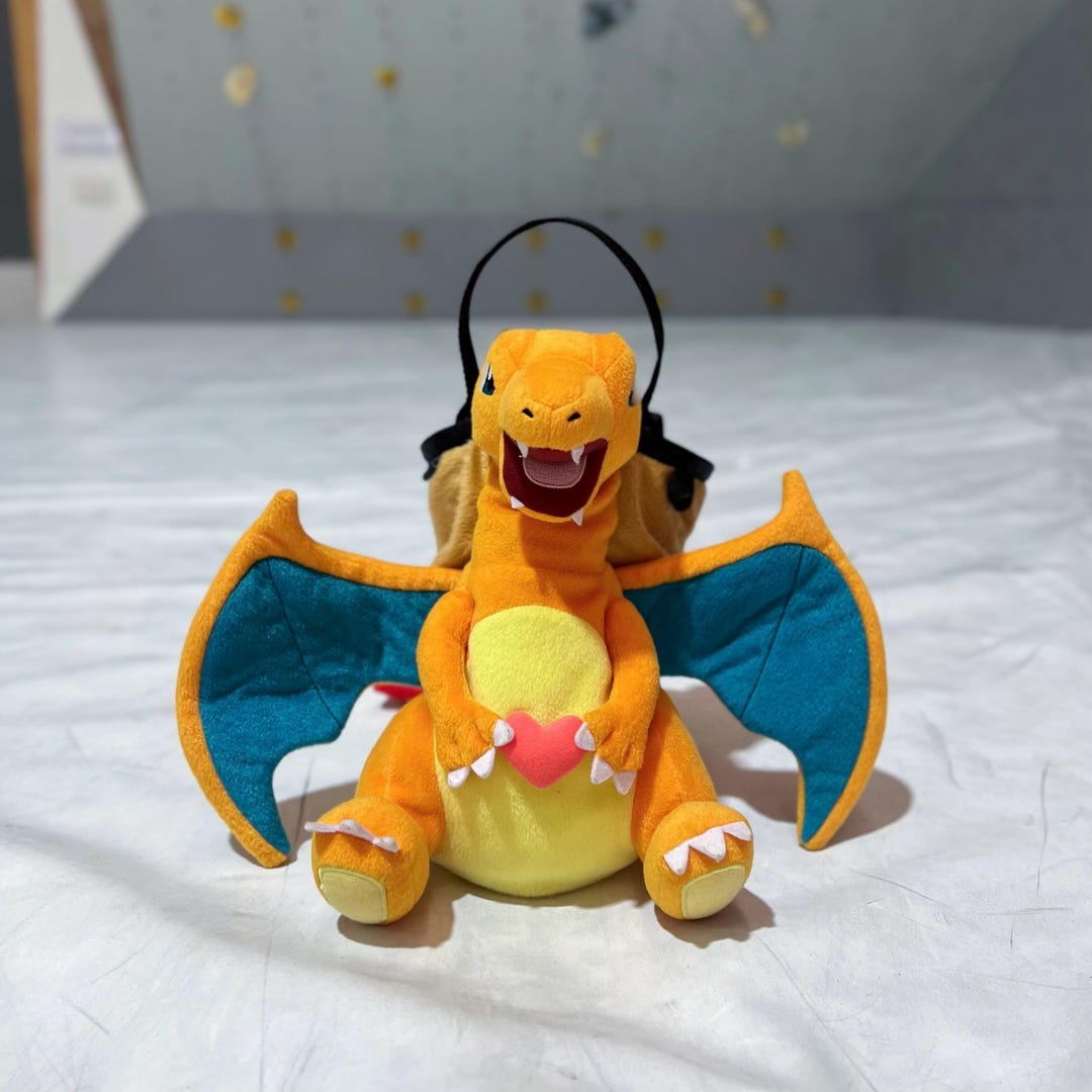Limited Edition : Charizard Heart Chalk Bag - Etsy