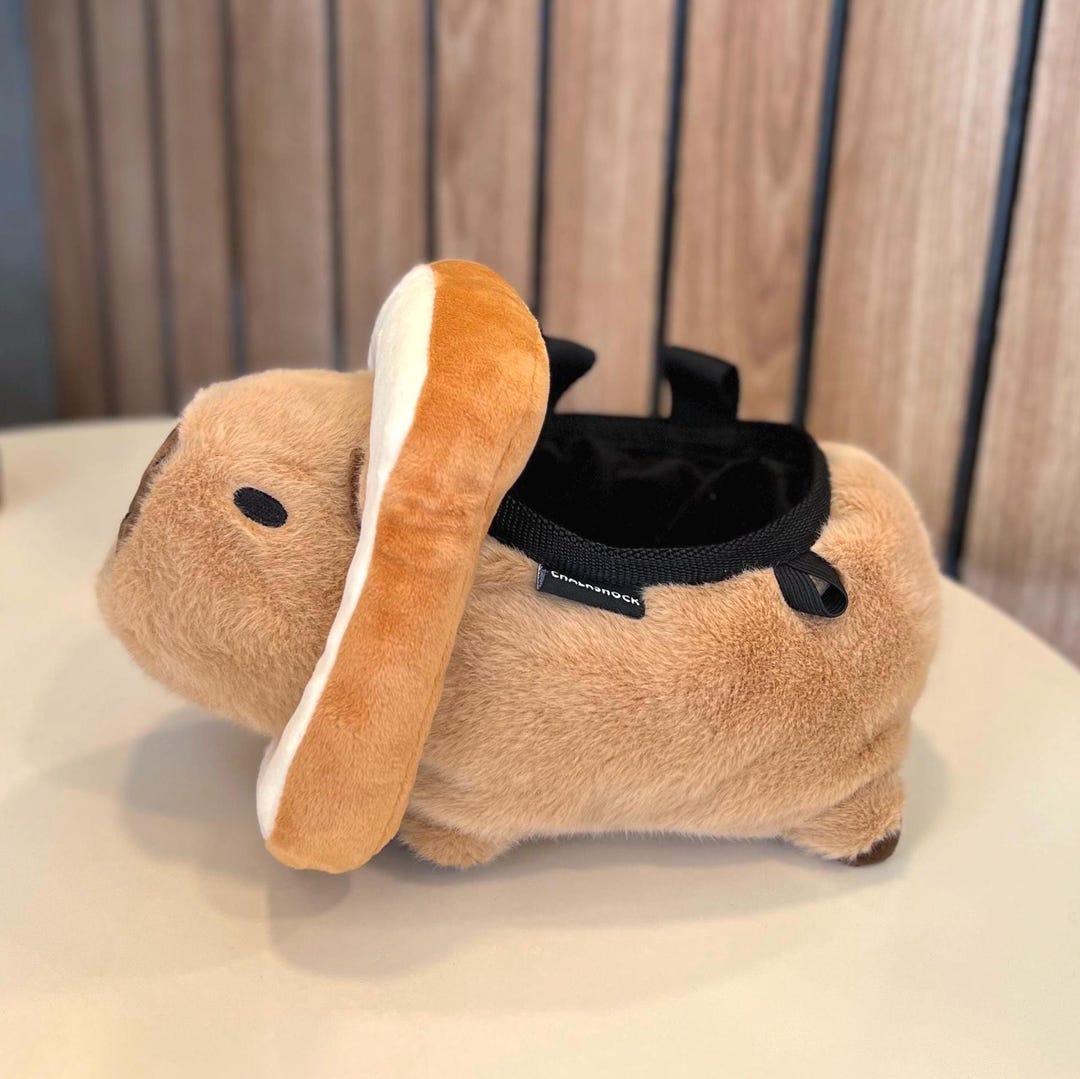 Capybara Bread Chalk Bag - Etsy