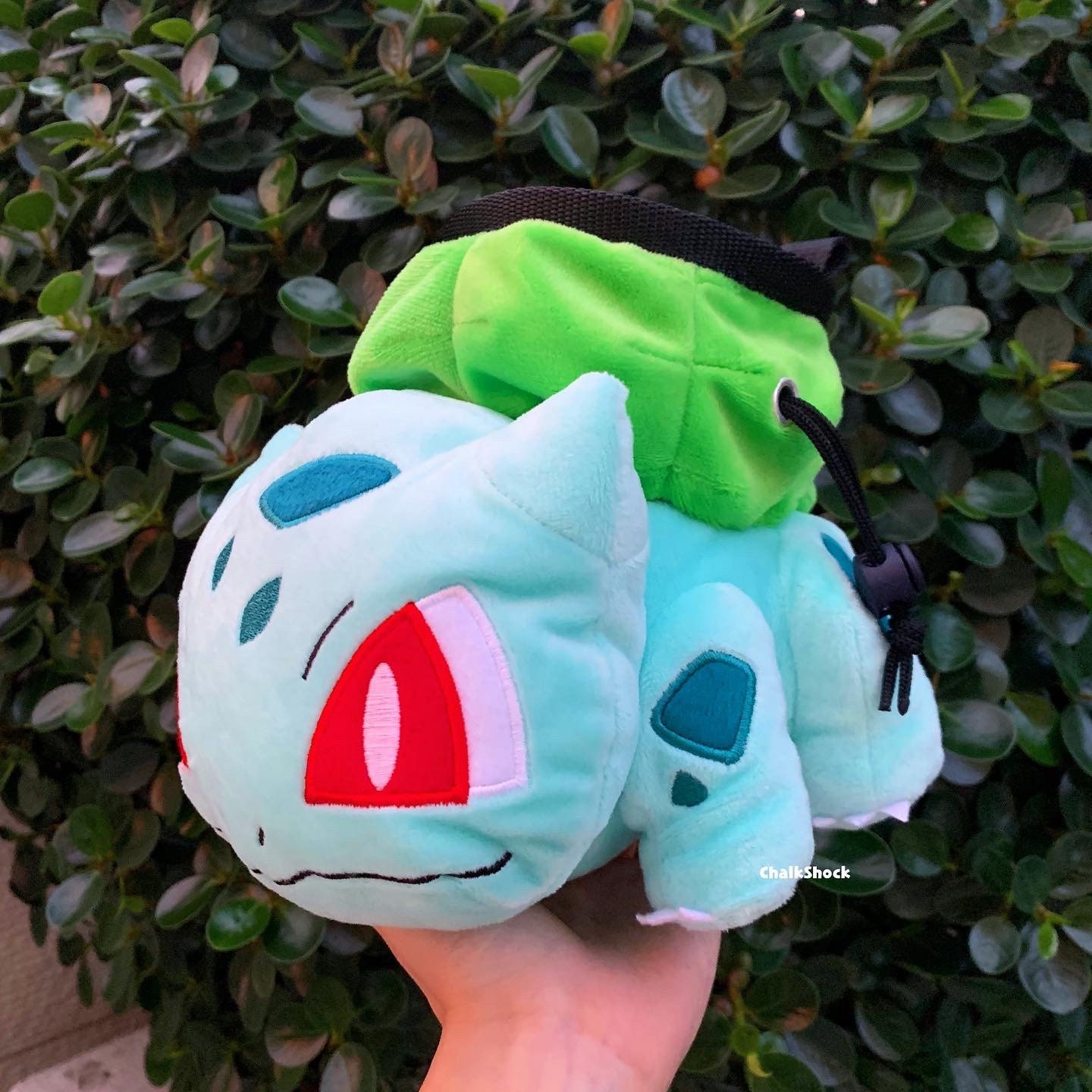 Bulbasaur fushigidane Pokemon Chalk Bag - Etsy