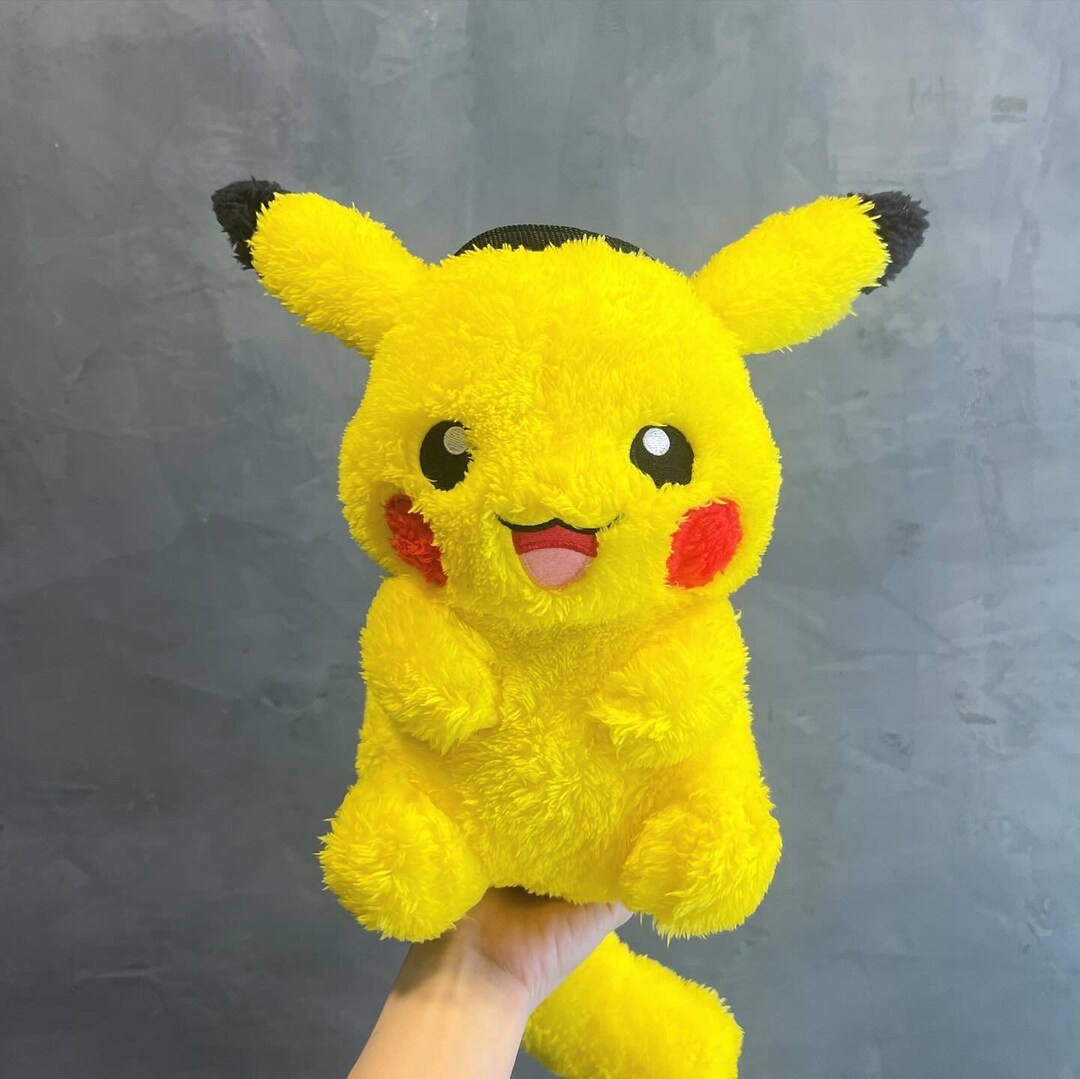 Happy Fluffy Pikachu Chalk Bag - Etsy