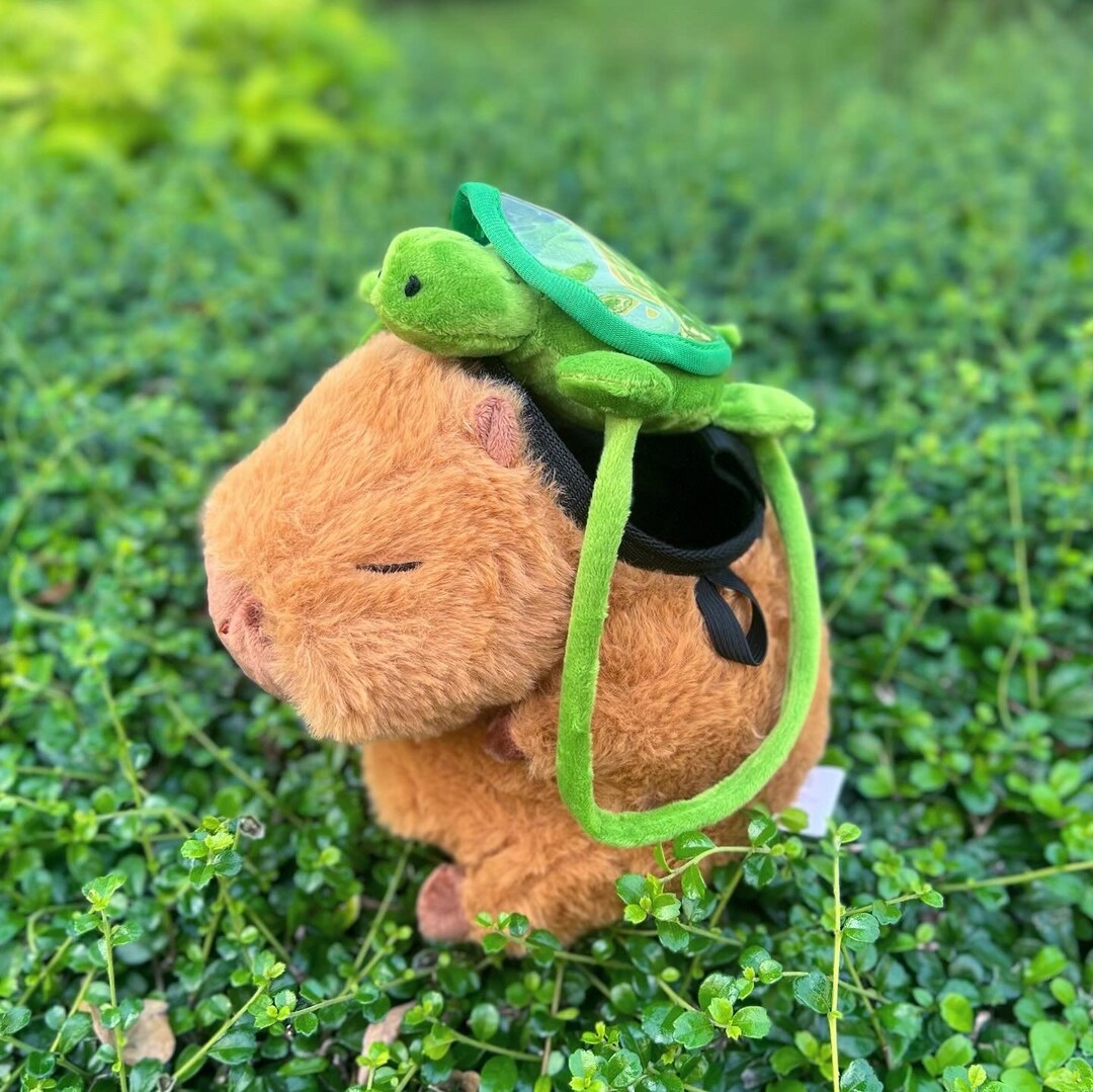 Capybara Turtle Chalk Bag - Etsy