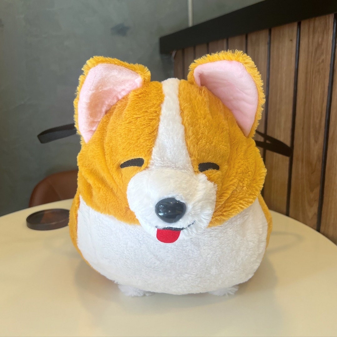 Smiley Corgi Bouldering Bag - Etsy