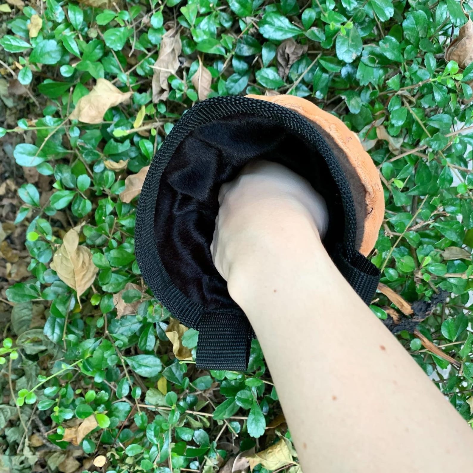 Baby Groot Chalk Bag - Etsy