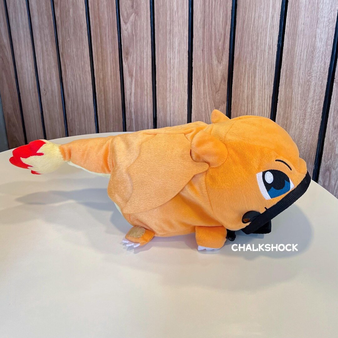 Limited Edition : Charizard Chalk Bag - Etsy