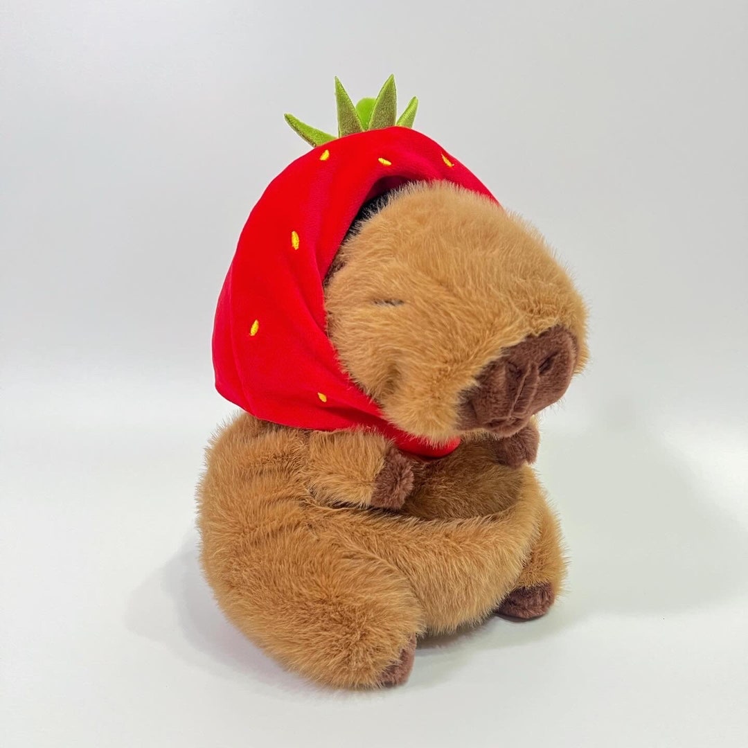 Capybara Red Strawberry Hood Chalk Bag - Etsy