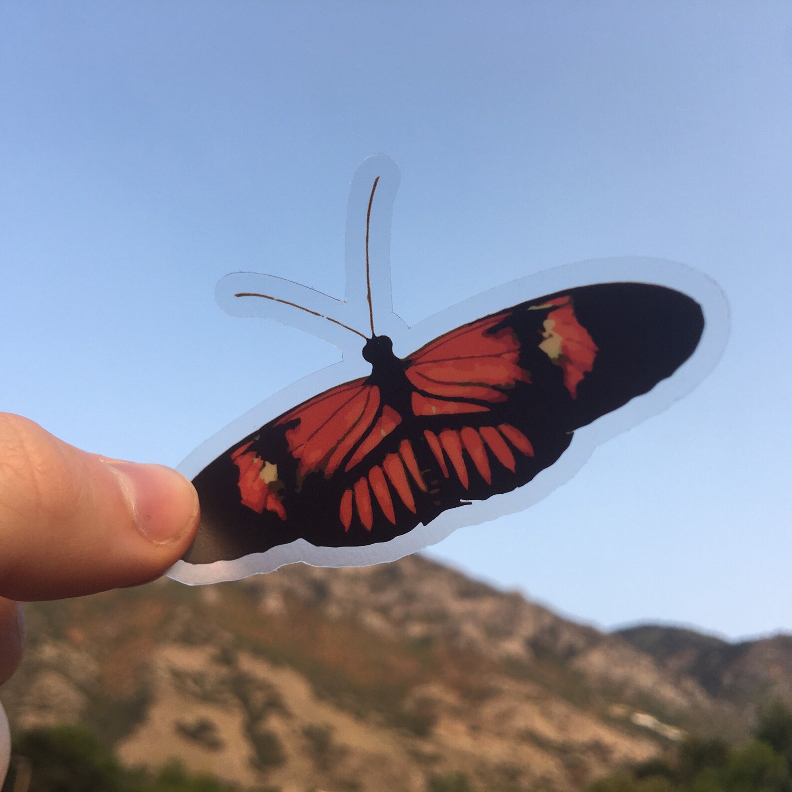 Red Butterfly Clear Vinyl Sticker Decal Laptop Sticker - Etsy