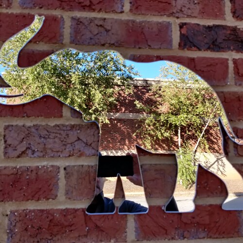 Elephant Acrylic Mirror Trunk up Animal Wall Decor - Etsy