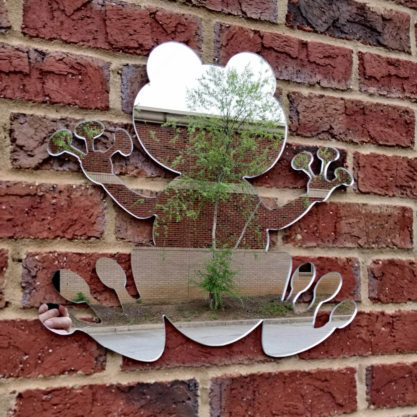 Tree Frog Acrylic Mirror: Animal Wall Decor - Made in USA - Etsy