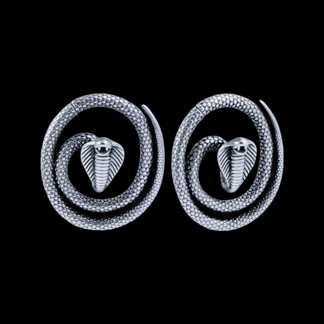 4g Snake Hinge Ear Weights Stainless Steel Ear Hangers for Stretched ...