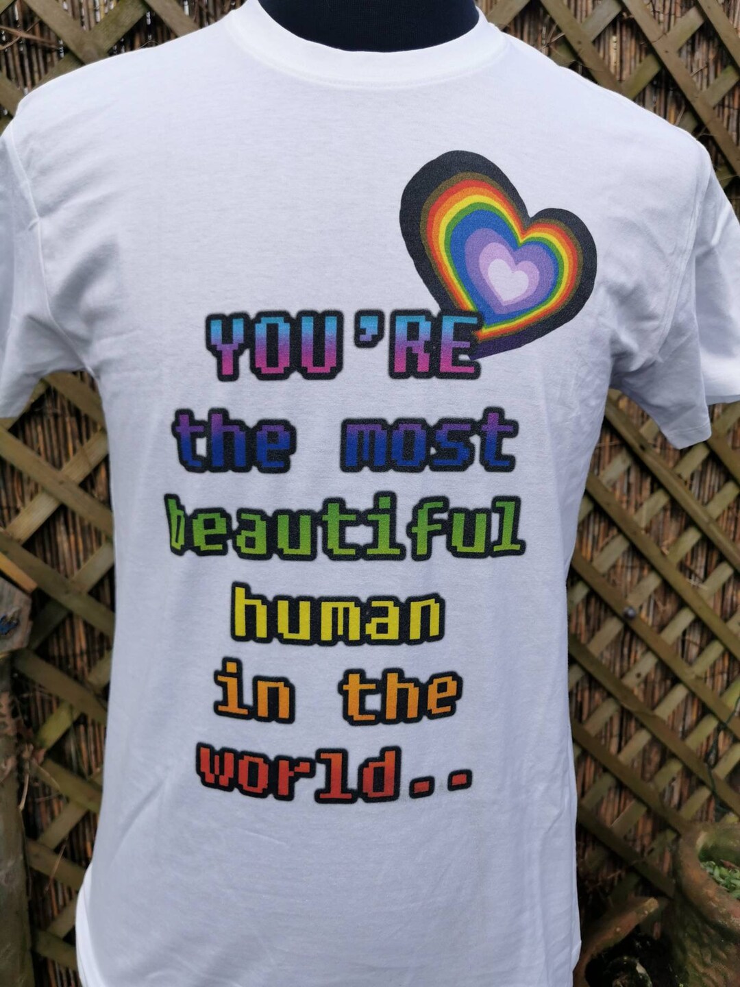 You're the Most Beautiful Human in the World Tee. Pride Flag - Etsy