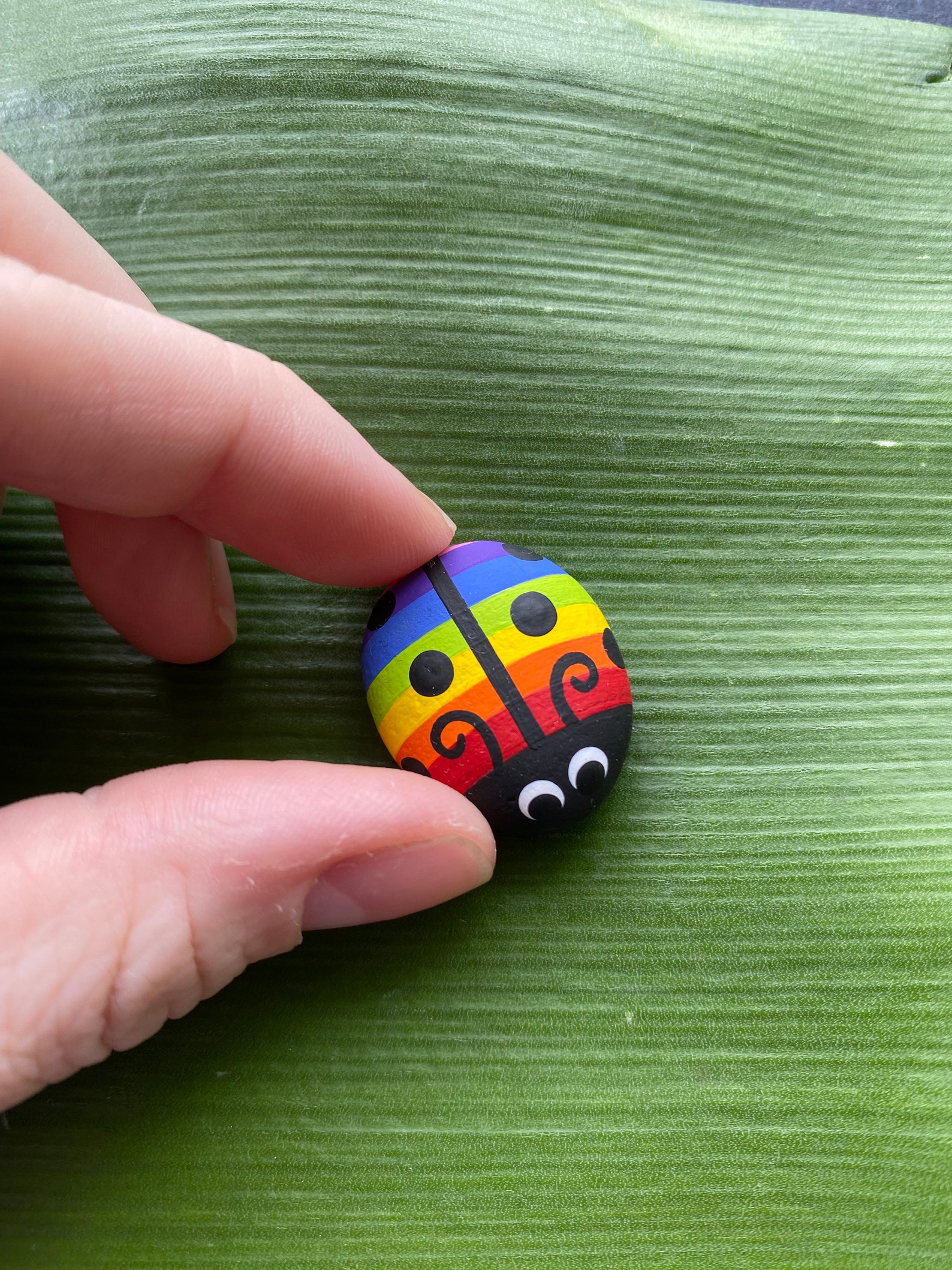 Rainbow Ladybug (one) | Acrylic Hand Painted | Cute Gift | Painted ...