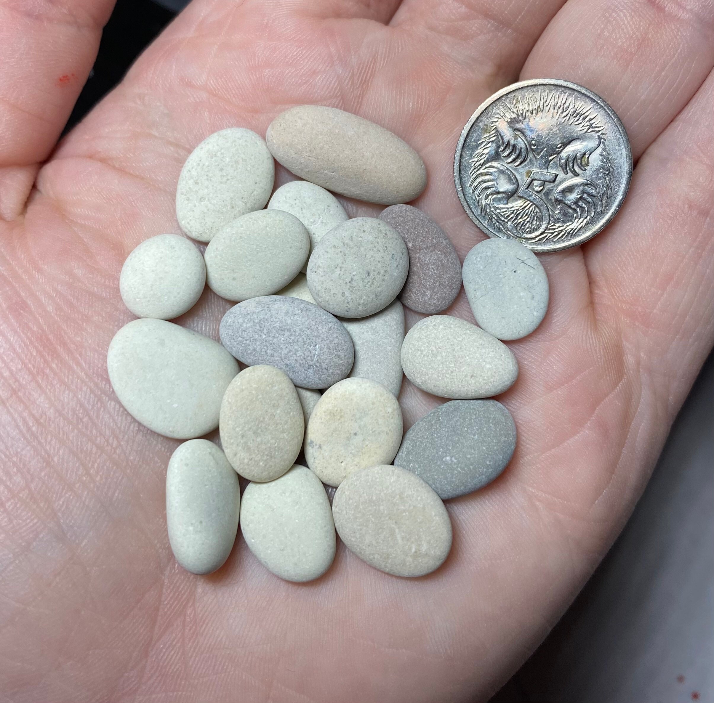 Tiny Stones/pebbles Ready for Arts Crafts or Painting - Etsy