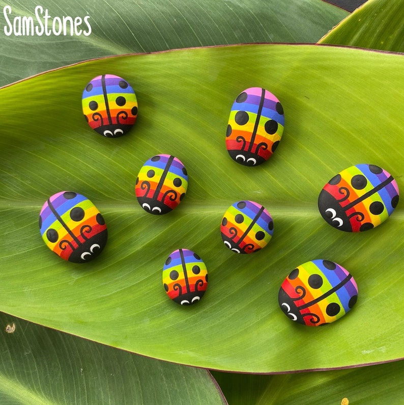 Rainbow Ladybug (one) | Acrylic Hand Painted | Cute Gift | Painted ...