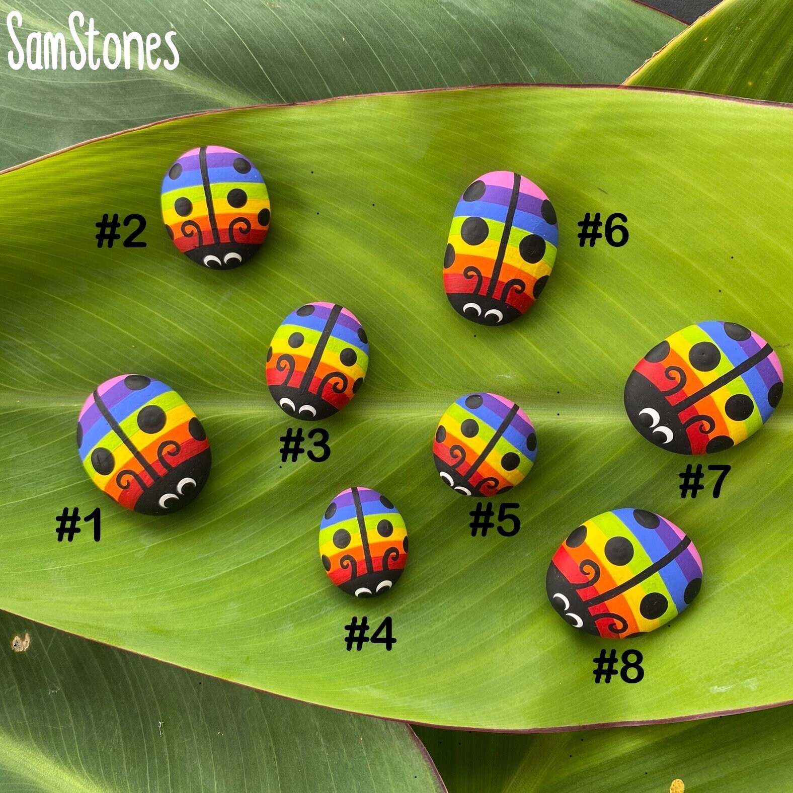 Rainbow Ladybug (one) | Acrylic Hand Painted | Cute Gift | Painted ...