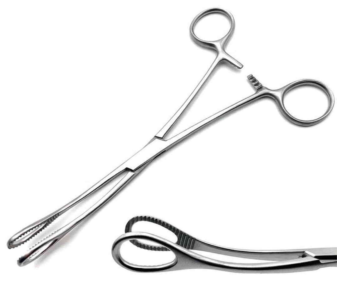 Curved 9.5" Sponge Holding Forceps Serrated Jaws Hemostat Forceps ...